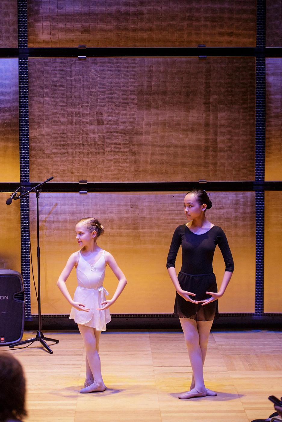 Klangvolles Drehbuch: Die AMADEUS International School Vienna ...